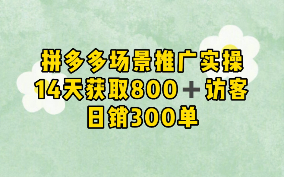 拼多多场景推广实操,让你日销300单