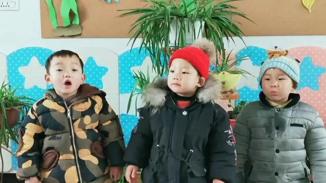 小树苗幼儿园小班教学展示