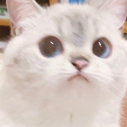 小鹿不识路 