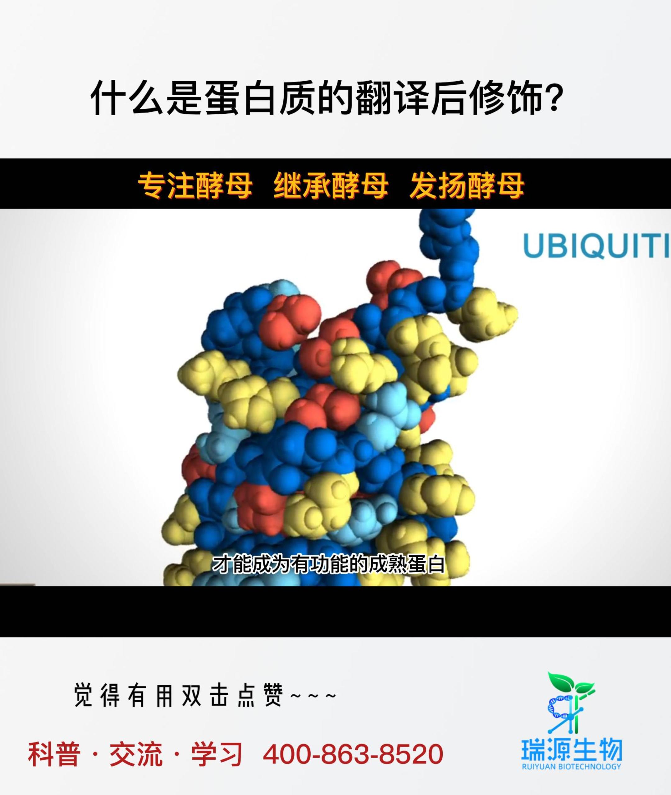 什么是蛋白质的翻译后修饰