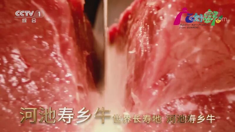 [祖国美]广西文旅宣传片