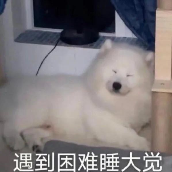 又来改名了 