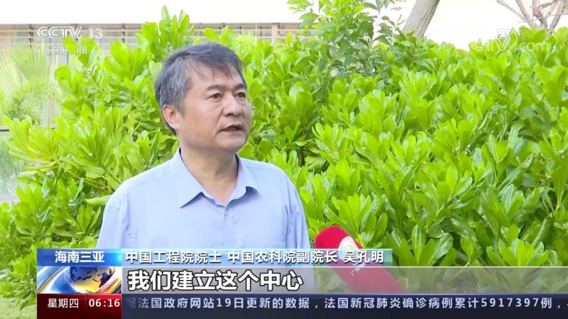 关注三亚:中国农业科学院设立南繁育种研究中心