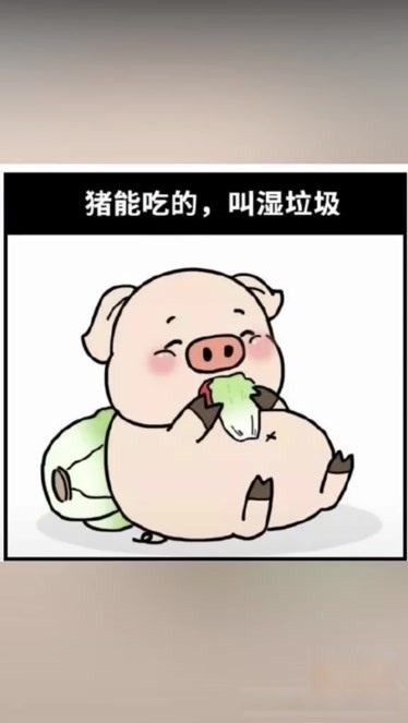 如何简单便捷的给垃圾分类呢!让猪告诉你吧