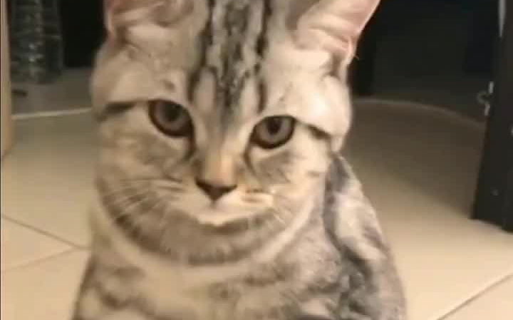 搞笑视频 搞笑模仿