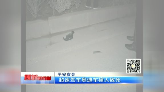 石家庄:超速驾驶奥迪车撞人致死