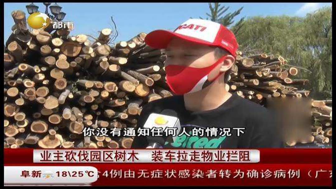 业主砍伐园区树木,装车拉走物业拦阻