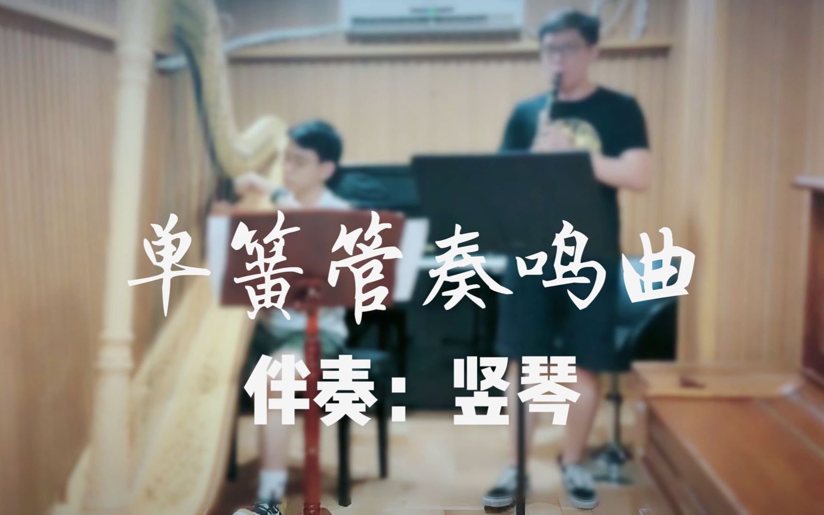 【单簧管&竖琴】圣桑——降E大调单簧管奏鸣曲op.167 第三乐章