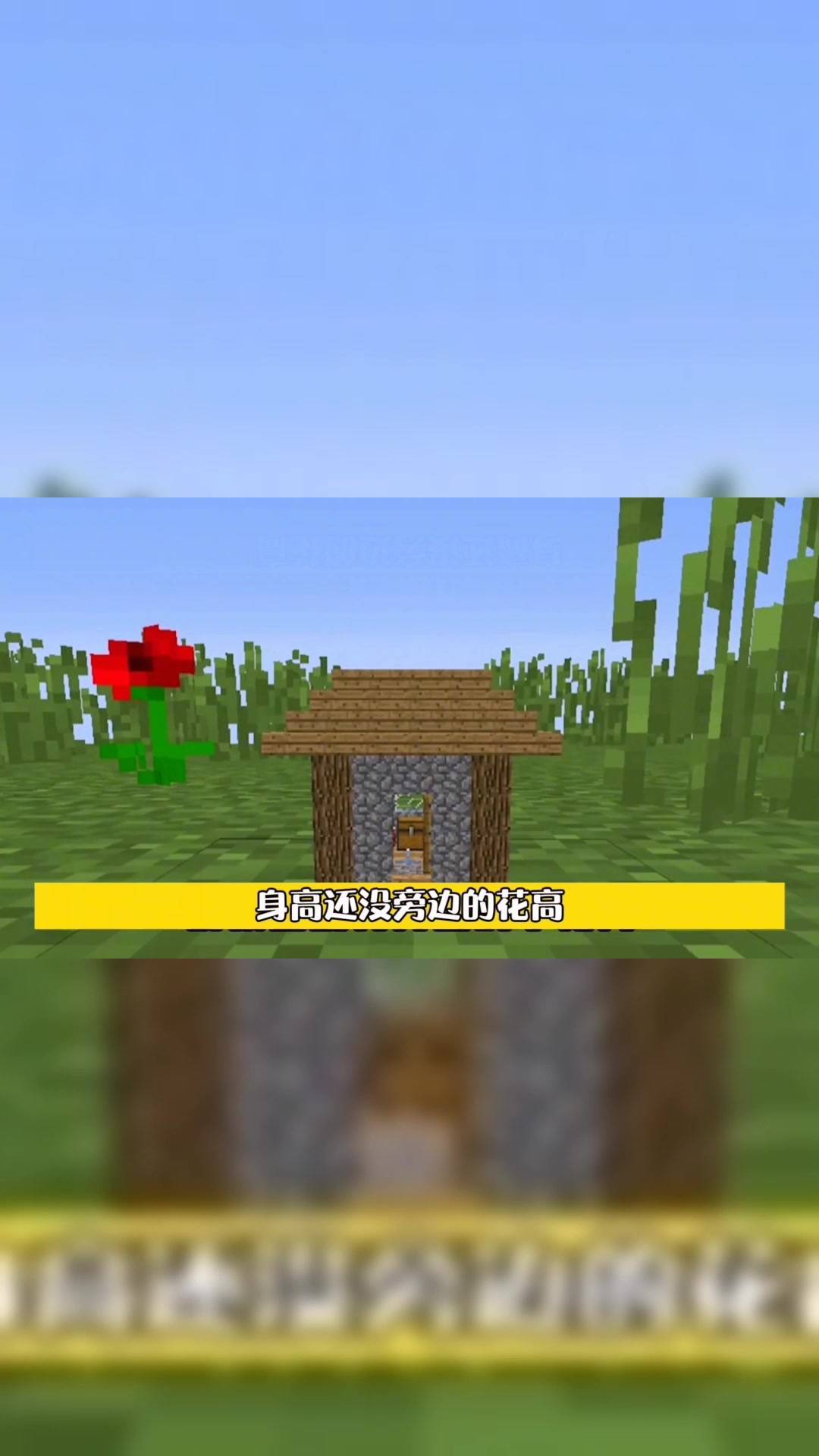 我的世界:主播做出最小房子,只占四格空间,家具齐全