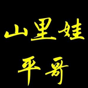 执业兽医刘宏杰 
