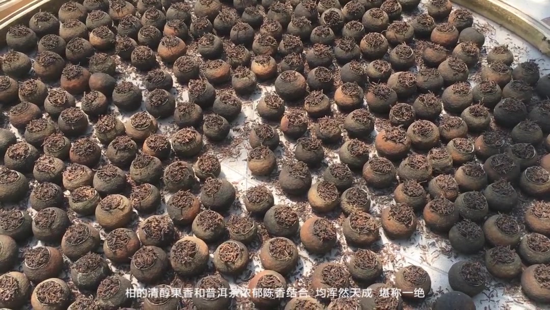 新会小青柑陈皮普洱茶