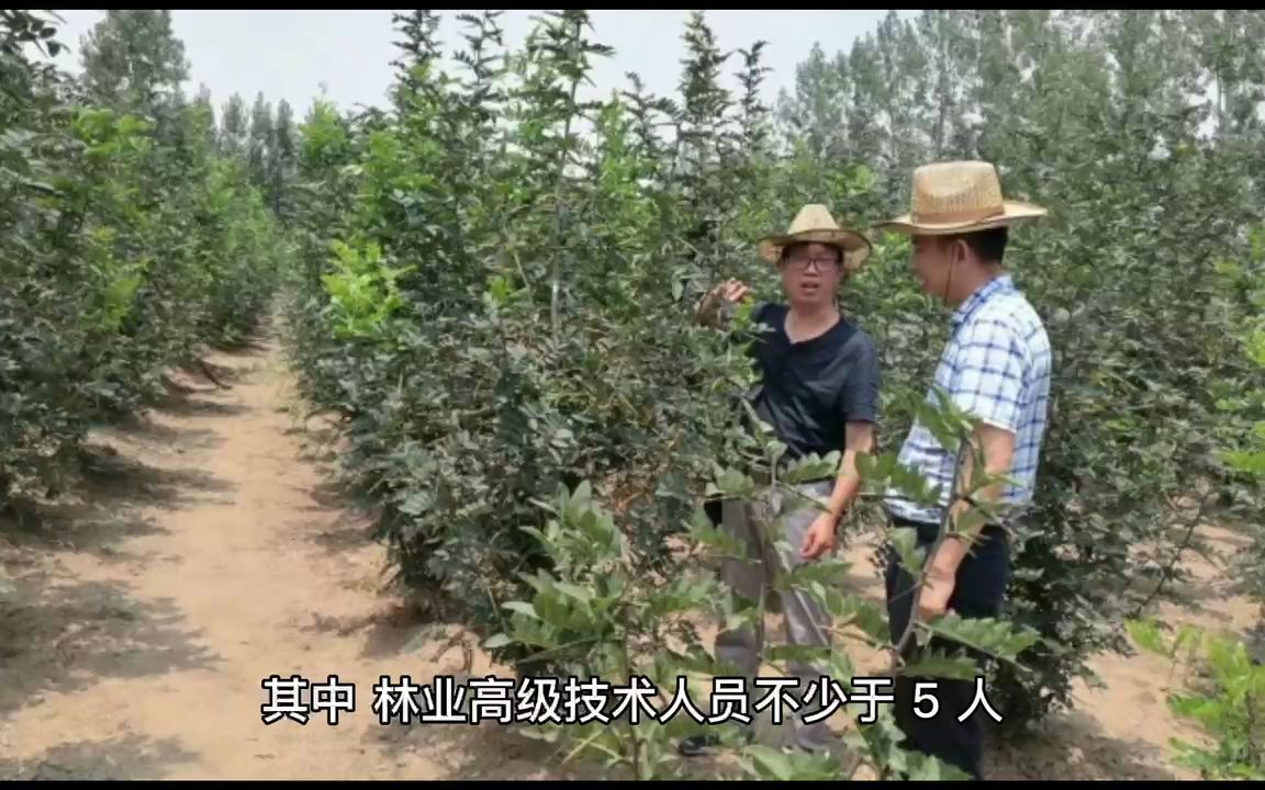 关于广东省林业调查规划设计资质标准