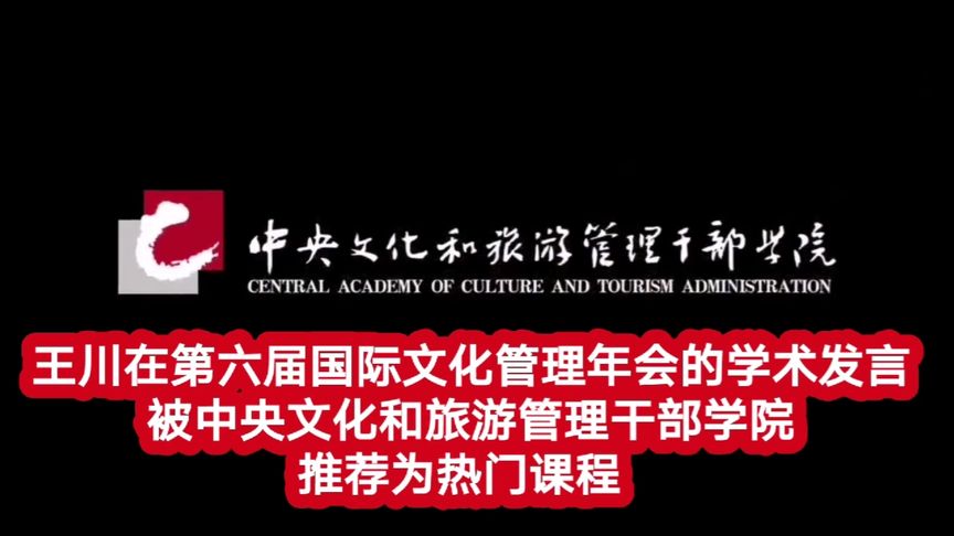 王川谈书法:王川在国际会议关于书法的学术发言被推荐为热门课程