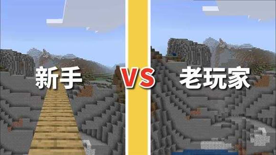 MC新手搭的桥VS老玩家搭的桥!