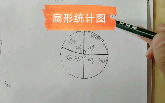 小学数学—扇形统计图