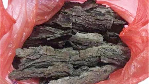 路边的柳树皮用水泡一泡,用途竟如此厉害,别不当个事,速去找找