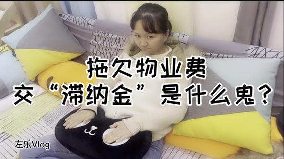 一脸懵,啥是“滞纳金”?有几个业主愿意交物业费滞纳金