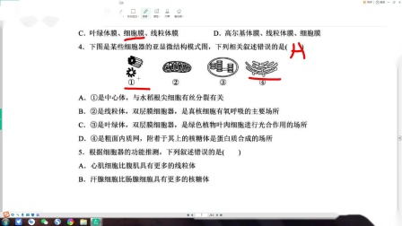 细胞器任务单 讲评(bzzx-网课)