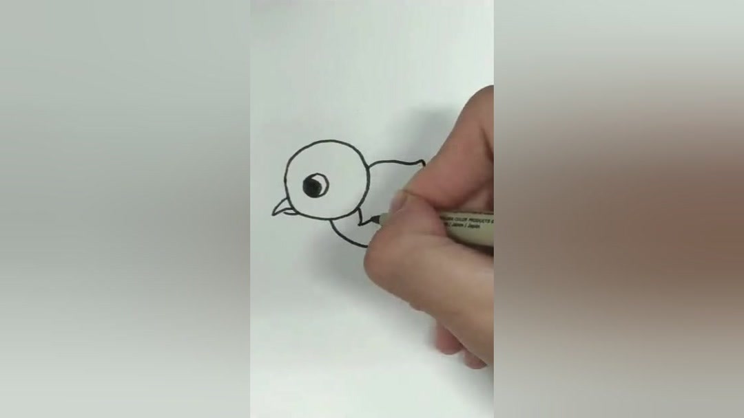 小鸡简笔画#简笔画