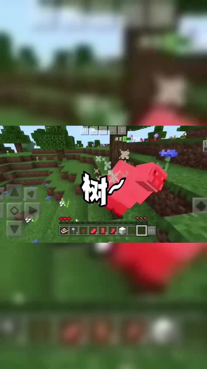 我的世界:回到屋里避雨啊!