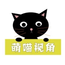 萌猫视角 