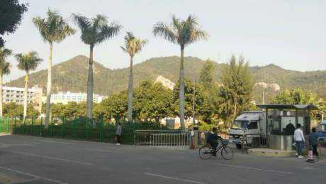 遵义医科大学珠海校区,女生比例竟然比男生高那么多