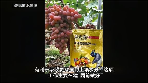 如何提高果树抗旱能力?果树抗旱栽培管理技术