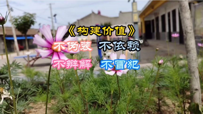 这个世界的生存规则就是个人价值,没有价值,就没有社会地位!