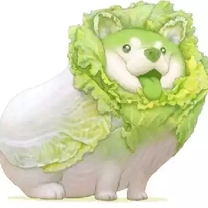 凡凡的猫扑 