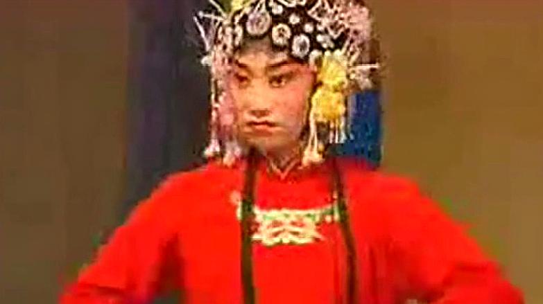 河南曲剧大师李天方老师演唱,这忽悠技术真服了,太好笑了