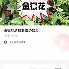 老王带你识百草 