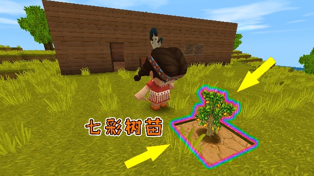 迷你世界:爷爷给妮妮一棵七彩树苗,等它长大后就能实现愿望了