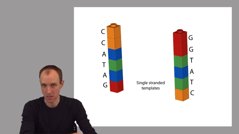 DNA测序算法-生物信息学基础课程-The Johns Hopkins University-约翰...