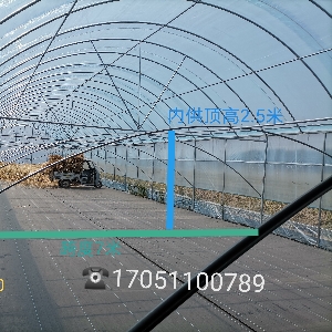 绿城温室大棚 