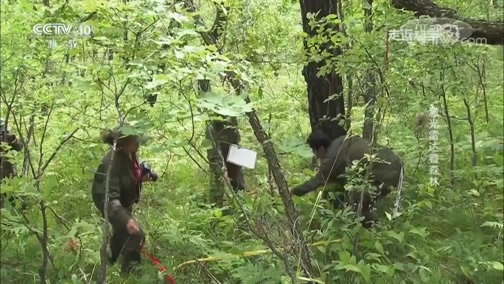 [走近科学]通过森林样地推算森林蓄积量