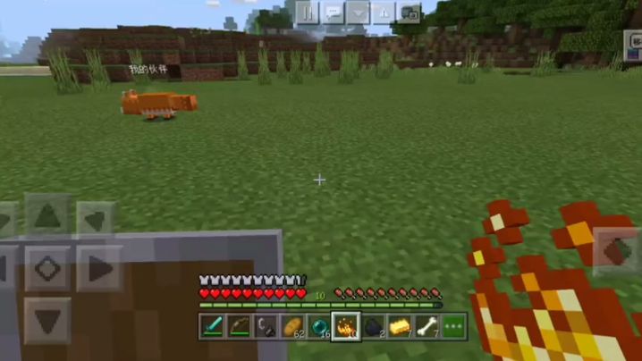 这个小宠物是新来的,今天去打梦影龙,我的世界四。