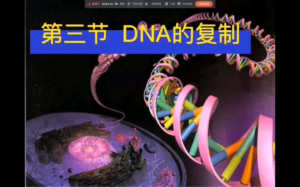 网课 高中生物必修二第三章第三节3.3DNA的复制