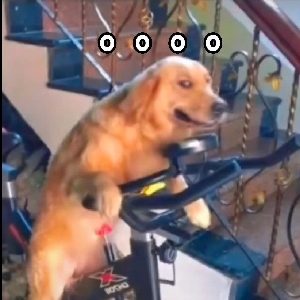 怪甜的西瓜 
