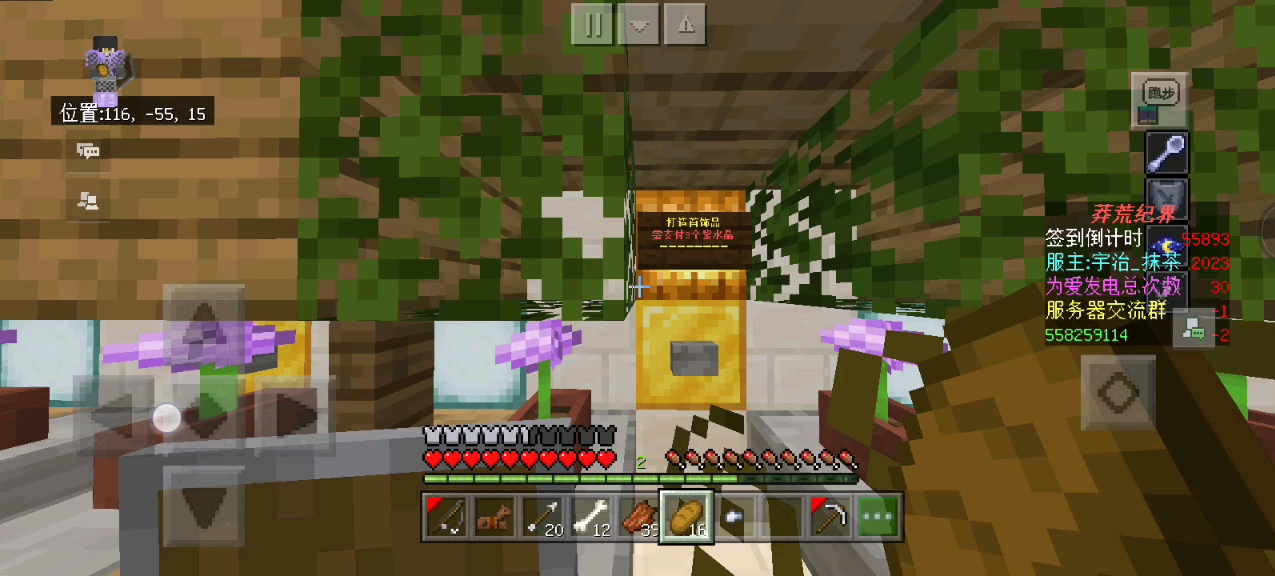 我的世界RPG租赁服,莽荒纪界服务器,日常清任务