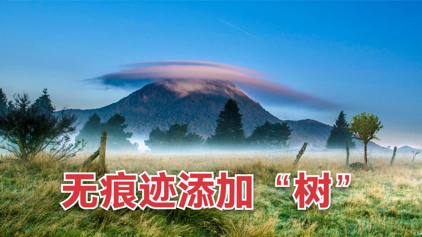 PS滤镜中的“树”有作用吗?可以无痕添加?