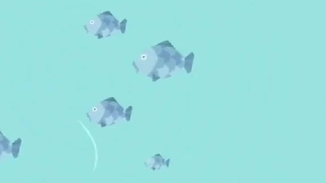 暑假一定要注意安全,不要去河边玩水 金映奖动画单元 原创