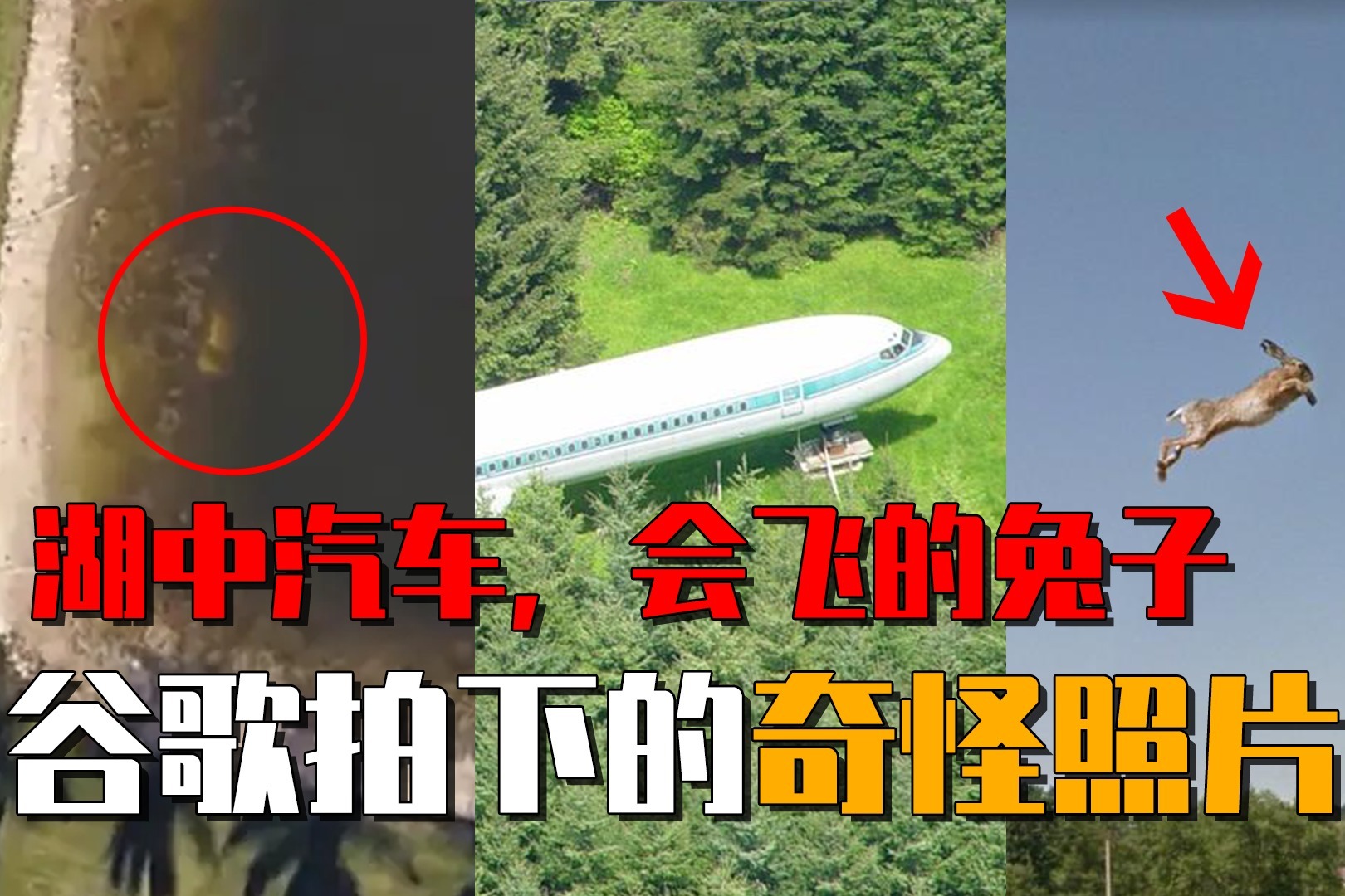 森林里有一架飞机?盘点谷歌地图拍到的奇怪照片,看完让人发毛