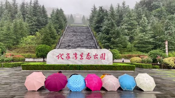 #让我们荡起双桨 #雨中旋律