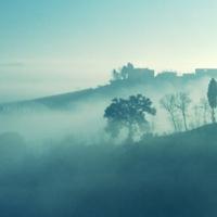 卡帝乐鳄鱼客服 