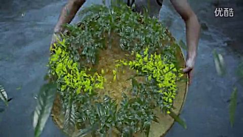 甘肃省农村信用社10秒