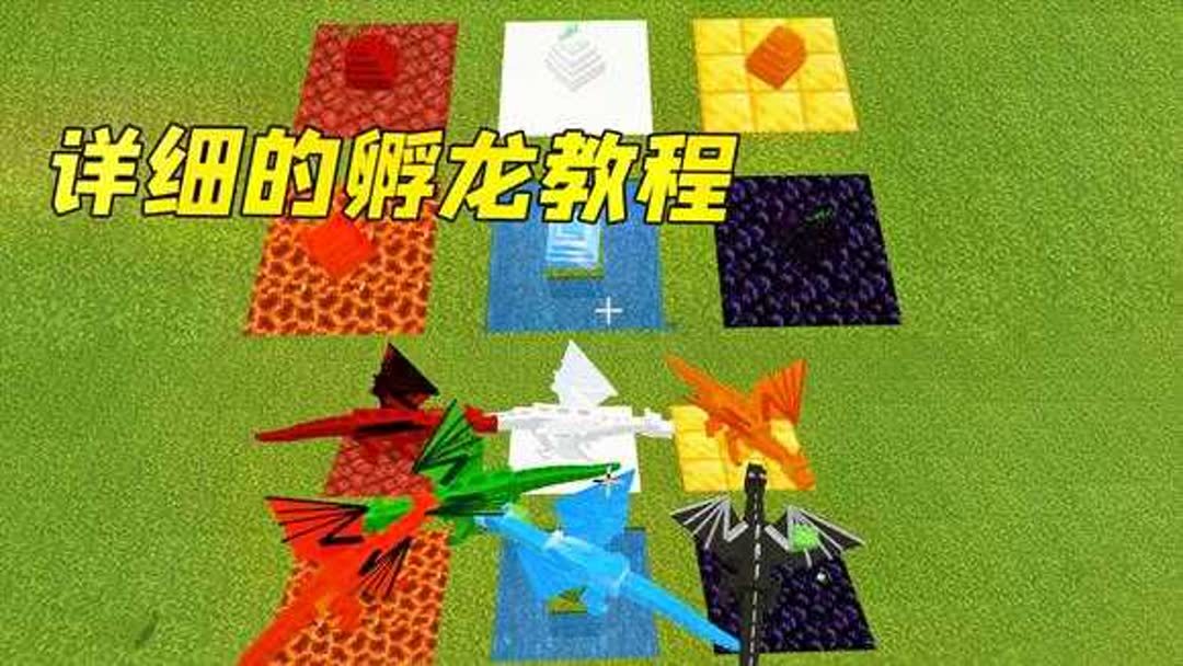 我的世界:超详细的孵龙蛋教程!手机电脑都实用