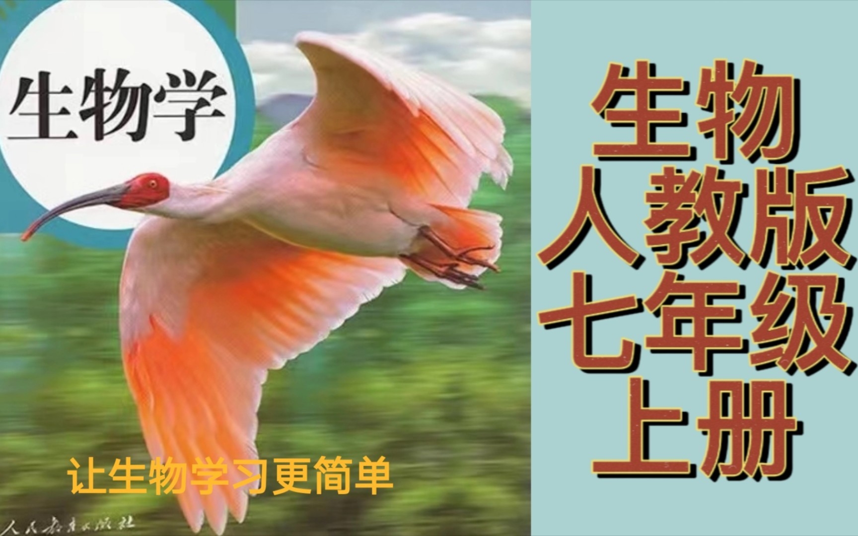 七年级上册1.2.2生物与环境组成生态系统