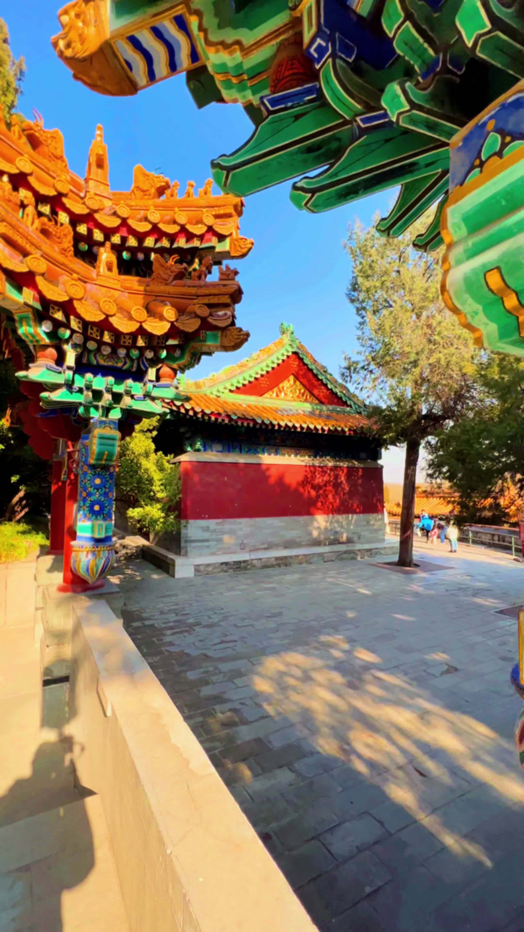 在儿时听着"让我们荡起双桨"多年后走进北海公园 近距离感受"海面.