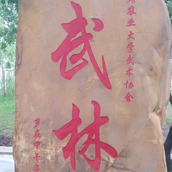 慢半拍停不下 