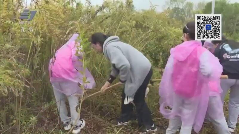 [看点]研学+劳动 实践课堂受青睐